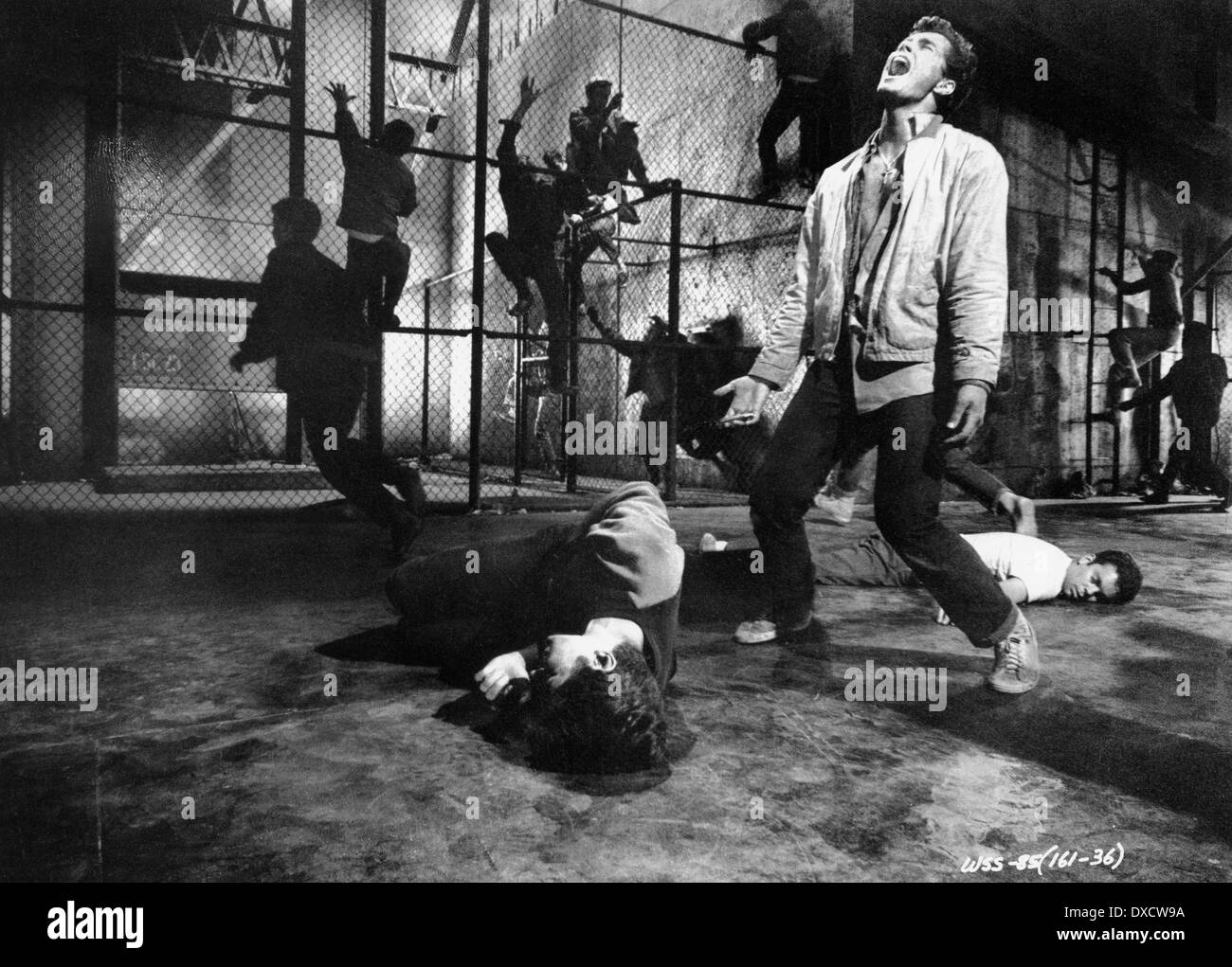 Gang fight usa hi-res stock photography and images - Alamy