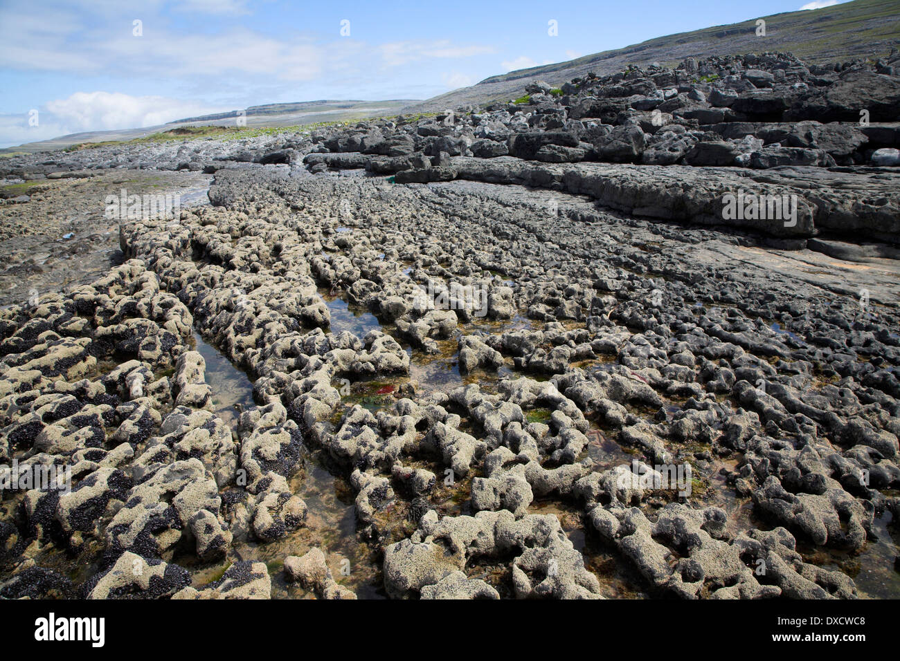 Rocky limestone pavement on the shoreline and view of the Burren from ...
