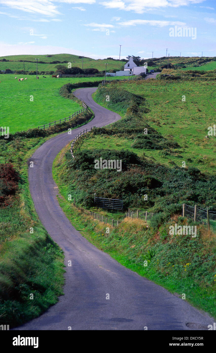 Winding country road passing rural farmhouse, Dursey Head, Beara ...