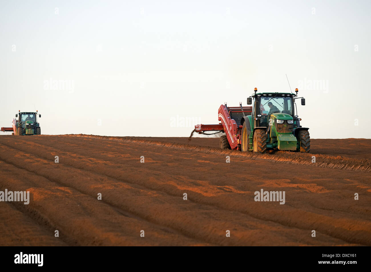 Farmland being de-stoned ready for planting potatoes Stock Photo - Alamy