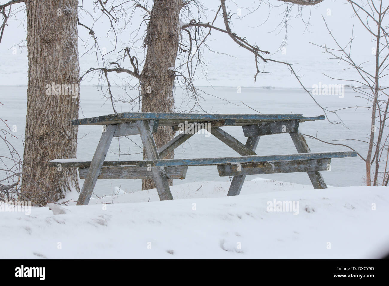 All weather picnic table hi-res stock photography and images - Alamy