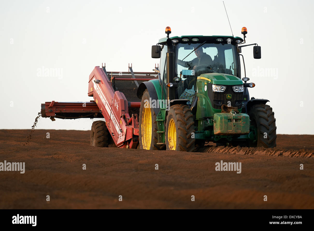 Farmland being de-stoned ready for planting potatoes Stock Photo - Alamy