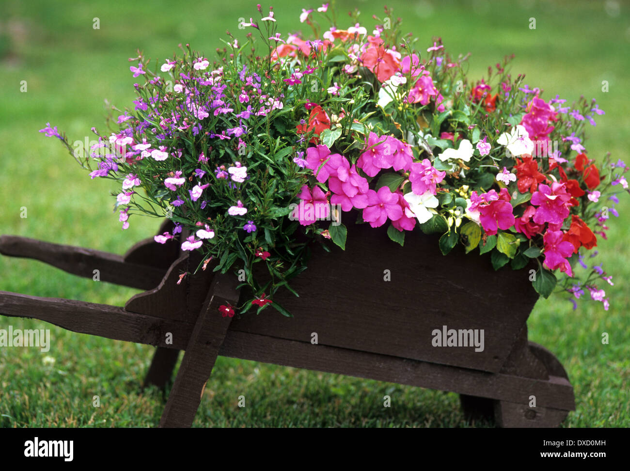 Container gardening hi-res stock photography and images - Alamy
