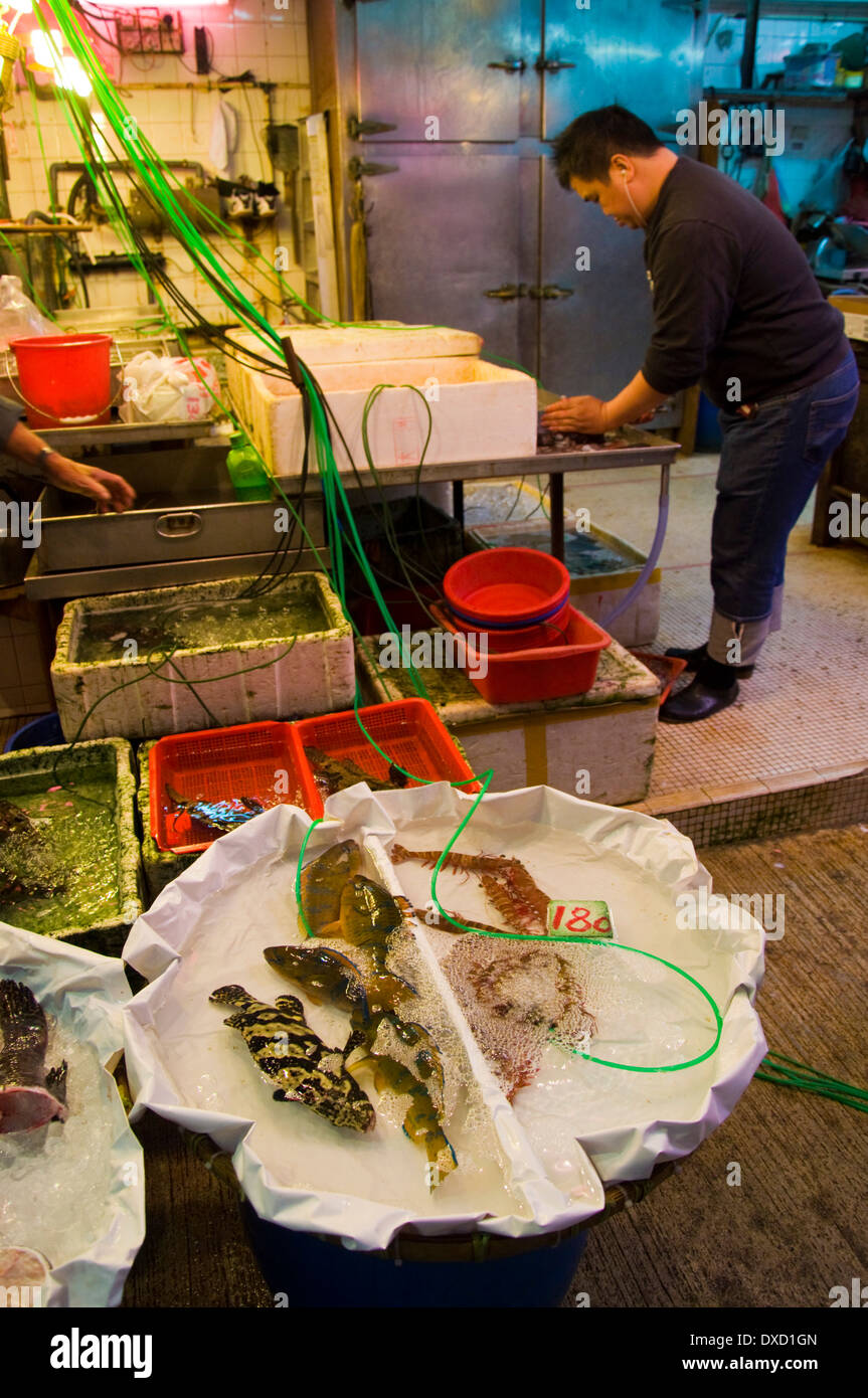 Chinese Fishmongers High Resolution Stock Photography and Images - Alamy