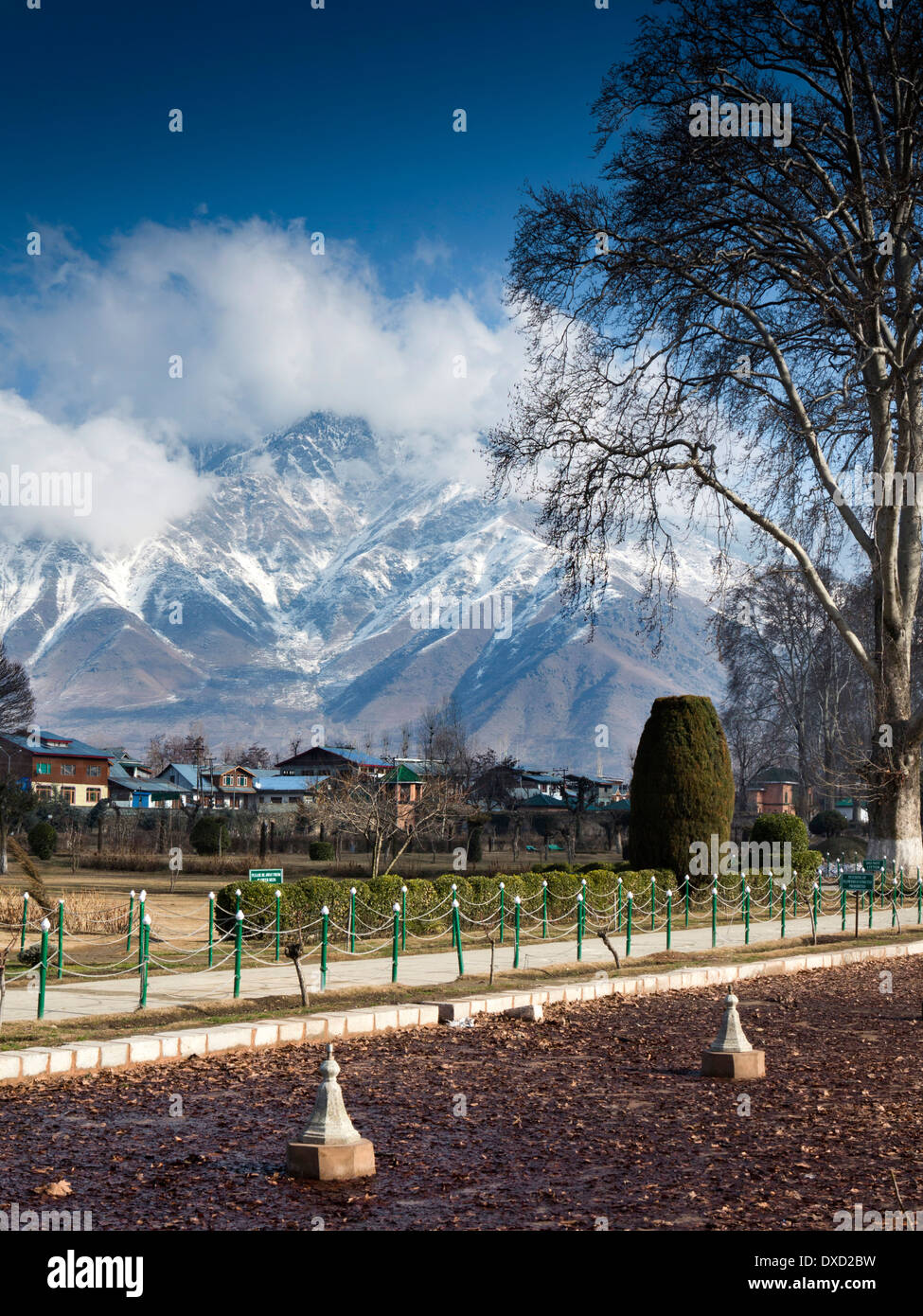 India, Kashmir, Srinagar, Shalimar Bagh gardens, with snow capped ...