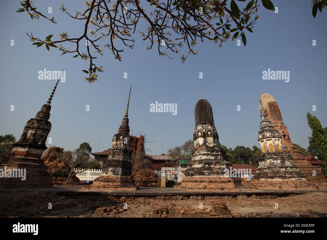 Chainat hi-res stock photography and images - Alamy