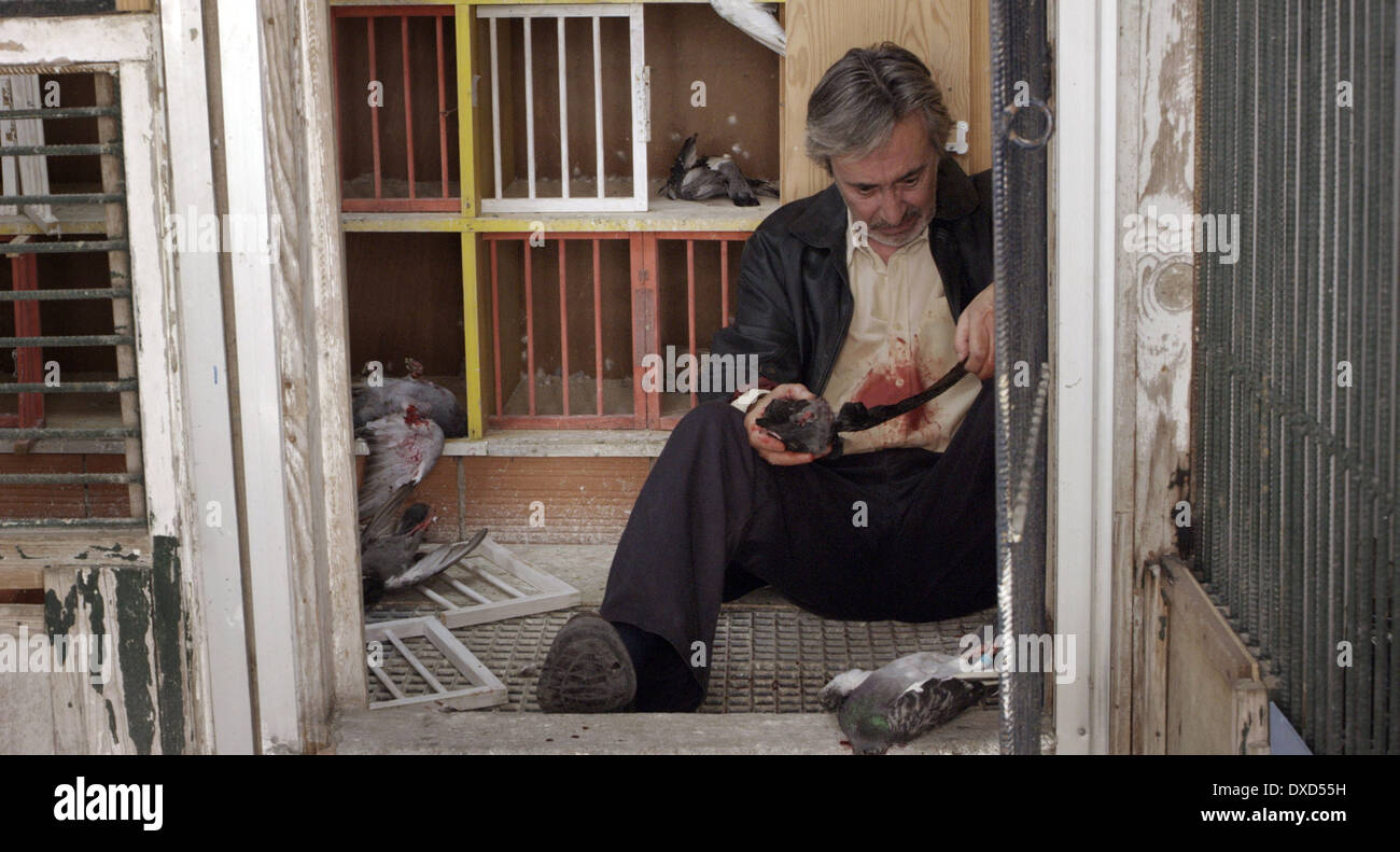 Rui morrison hi-res stock photography and images - Alamy