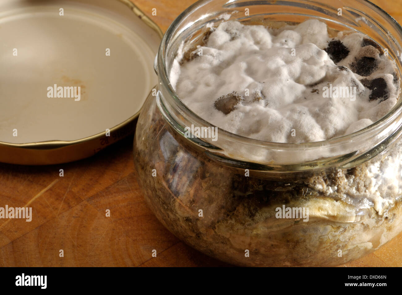 Mold growth on food packaging hi-res stock photography and images - Alamy