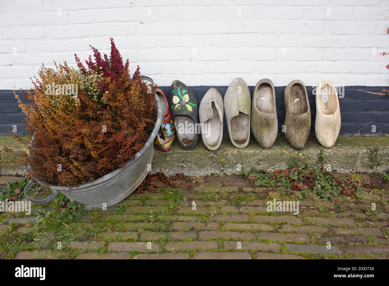old dutch clogs and heathers in tin container marker netherlands Stock ...