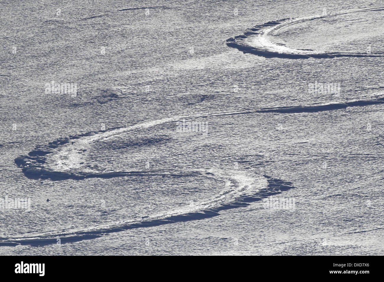Ski tracks in snow Stock Photo - Alamy