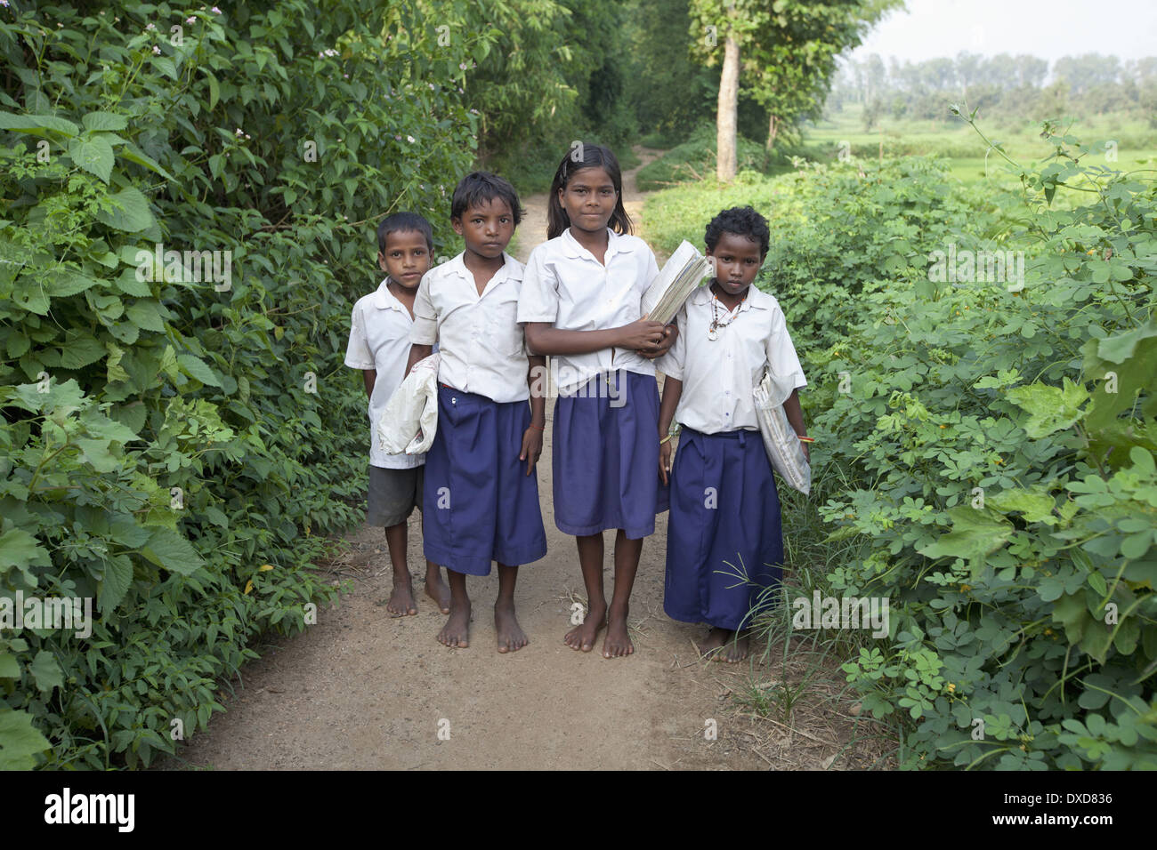 Students district hi-res stock photography and images - Alamy