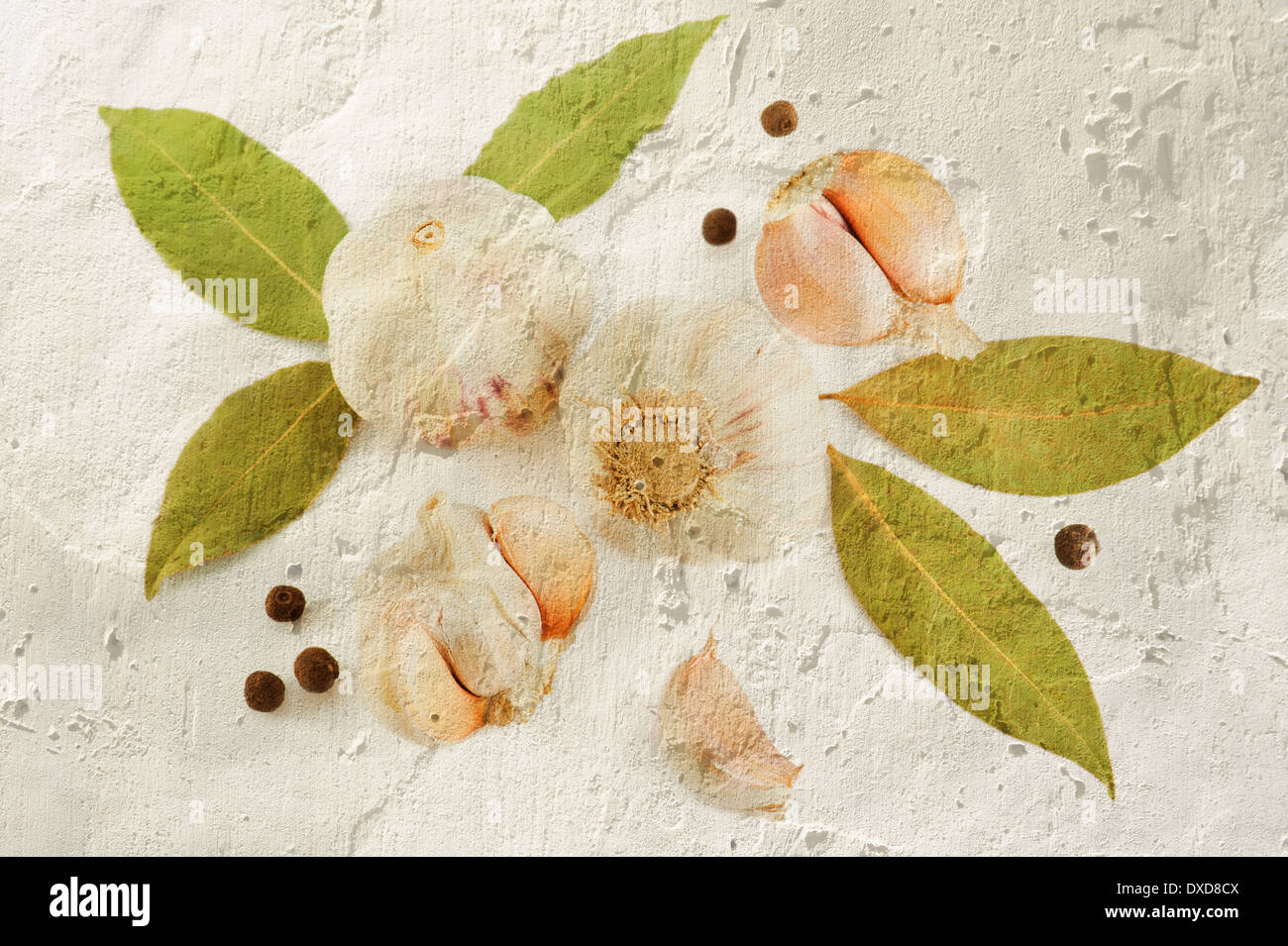 Grunge texture in vintage style vegetables and spices for kitchen ...