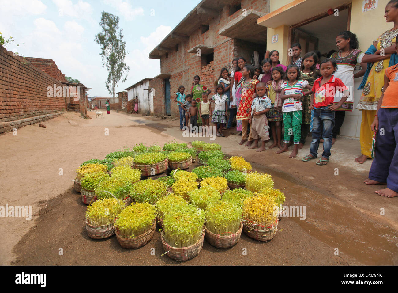 Karma Puja High Resolution Stock Photography and Images - Alamy
