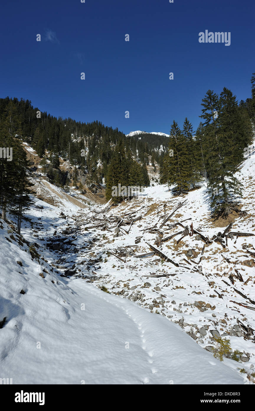 tree logs in a ditch in snowy Alpine region, Bavaria, Germany Stock ...