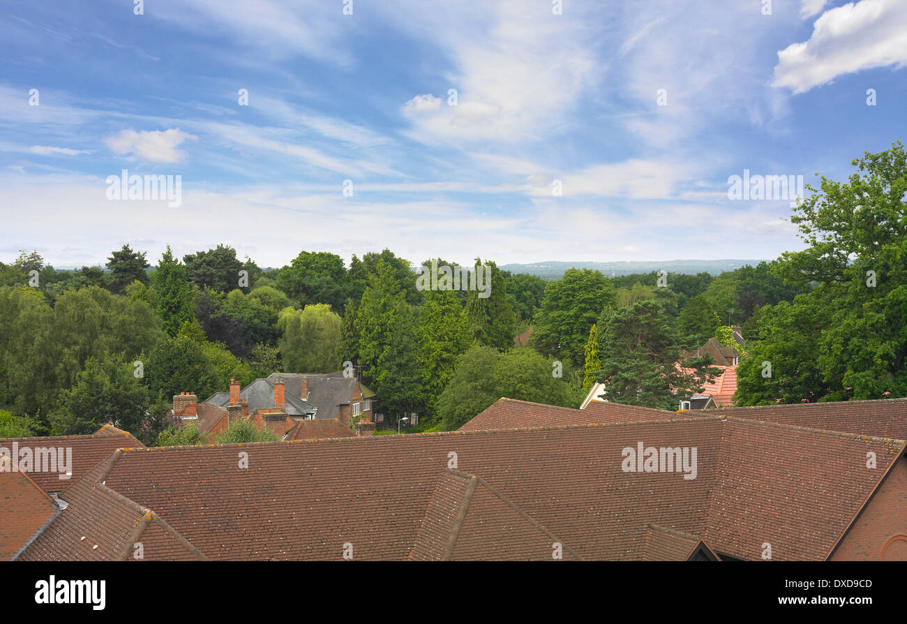 View of woods over rooves Stock Photo - Alamy