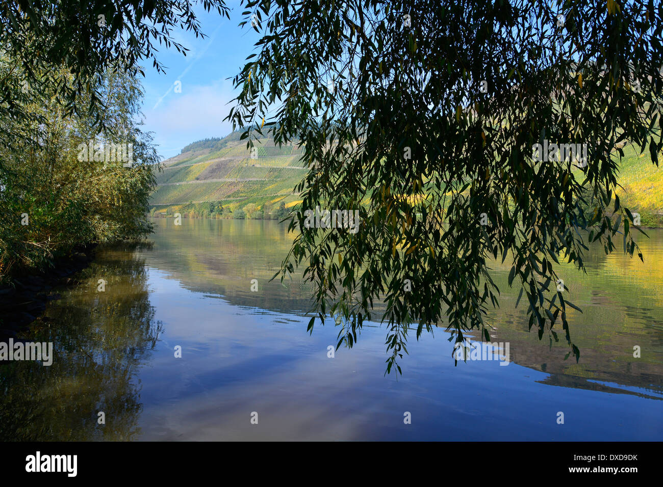 Flusslandschaft hi-res stock photography and images - Alamy