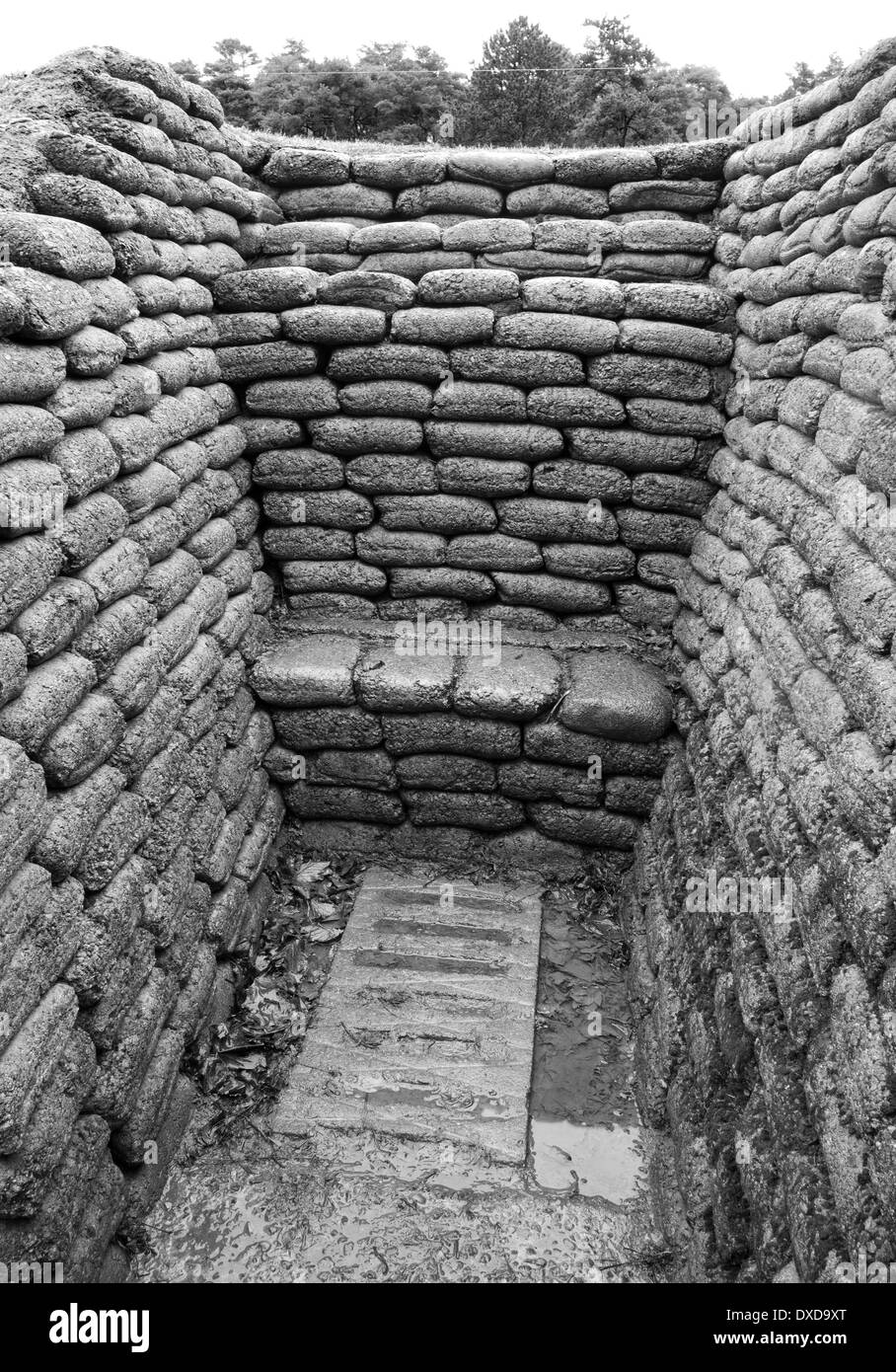 Ww1 bunker High Resolution Stock Photography and Images - Alamy