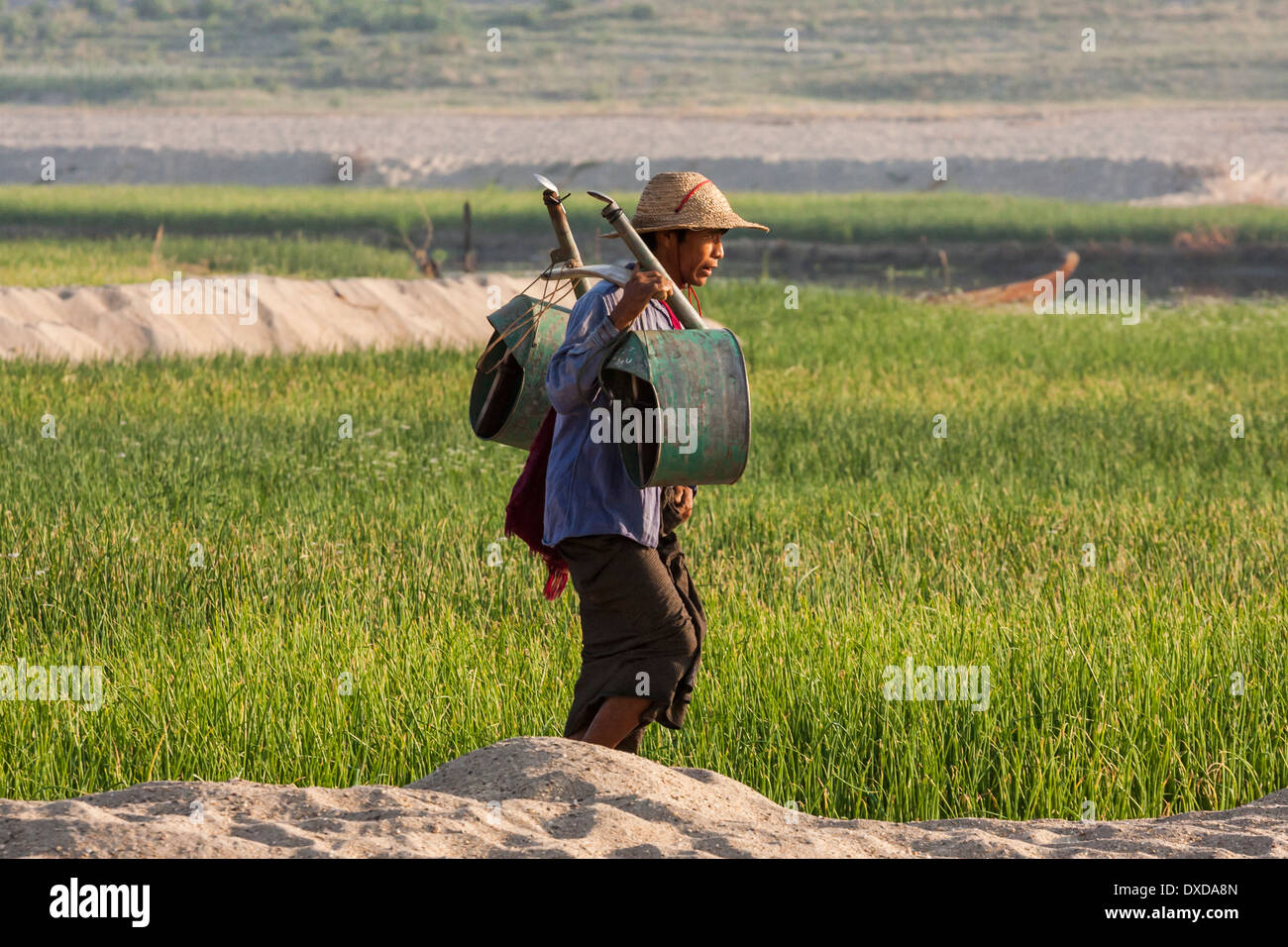 A farmer irrigates their fields in Bagan, Myanmar Stock Photo - Alamy