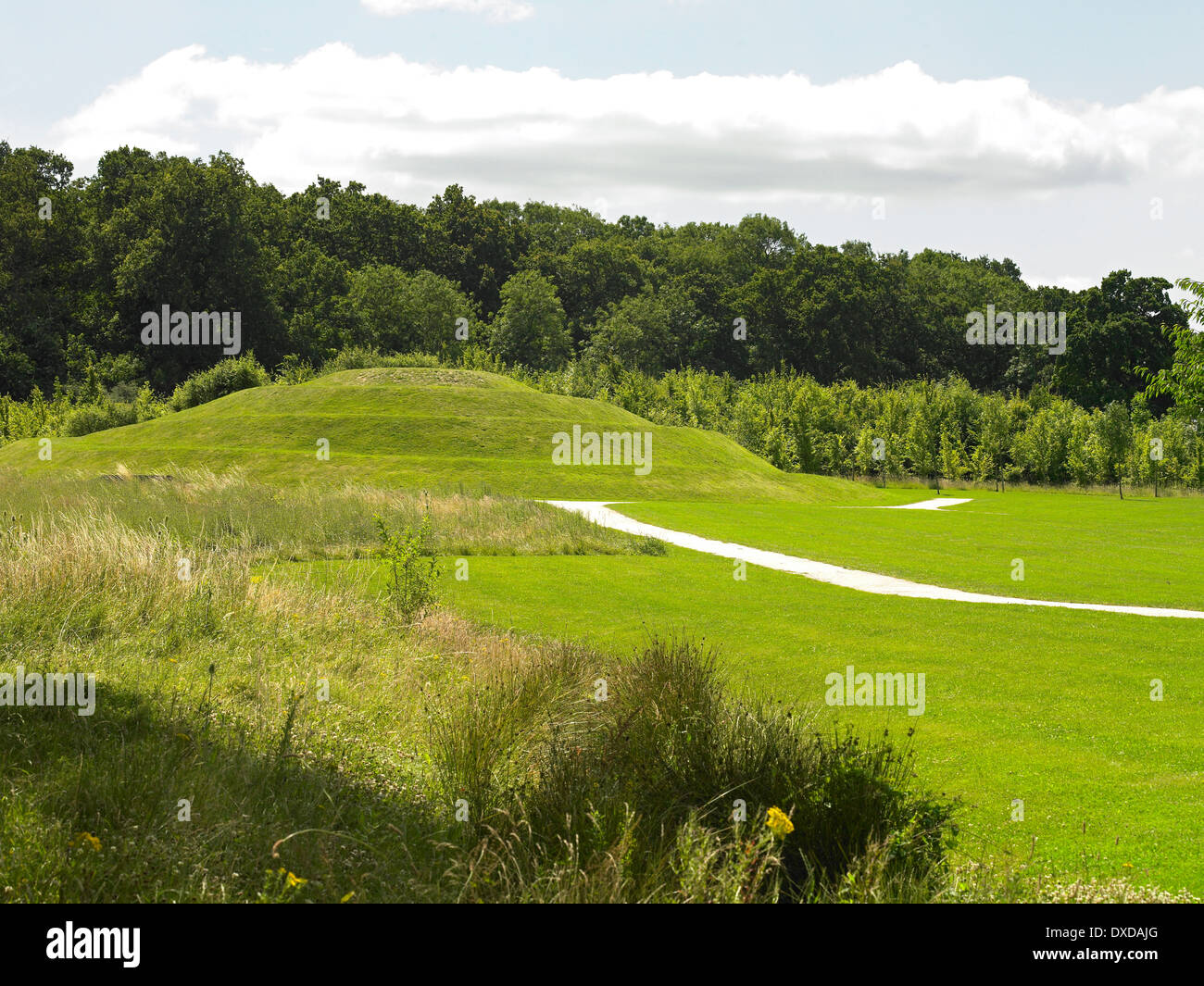 Sunny hill with woods Stock Photo - Alamy