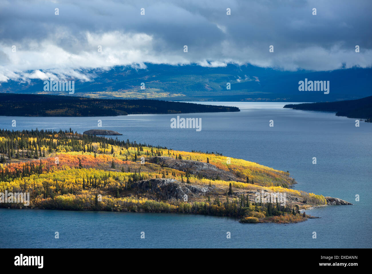 Bove Island, Tagish Lake, Yukon Territories, Canada Stock Photo ...