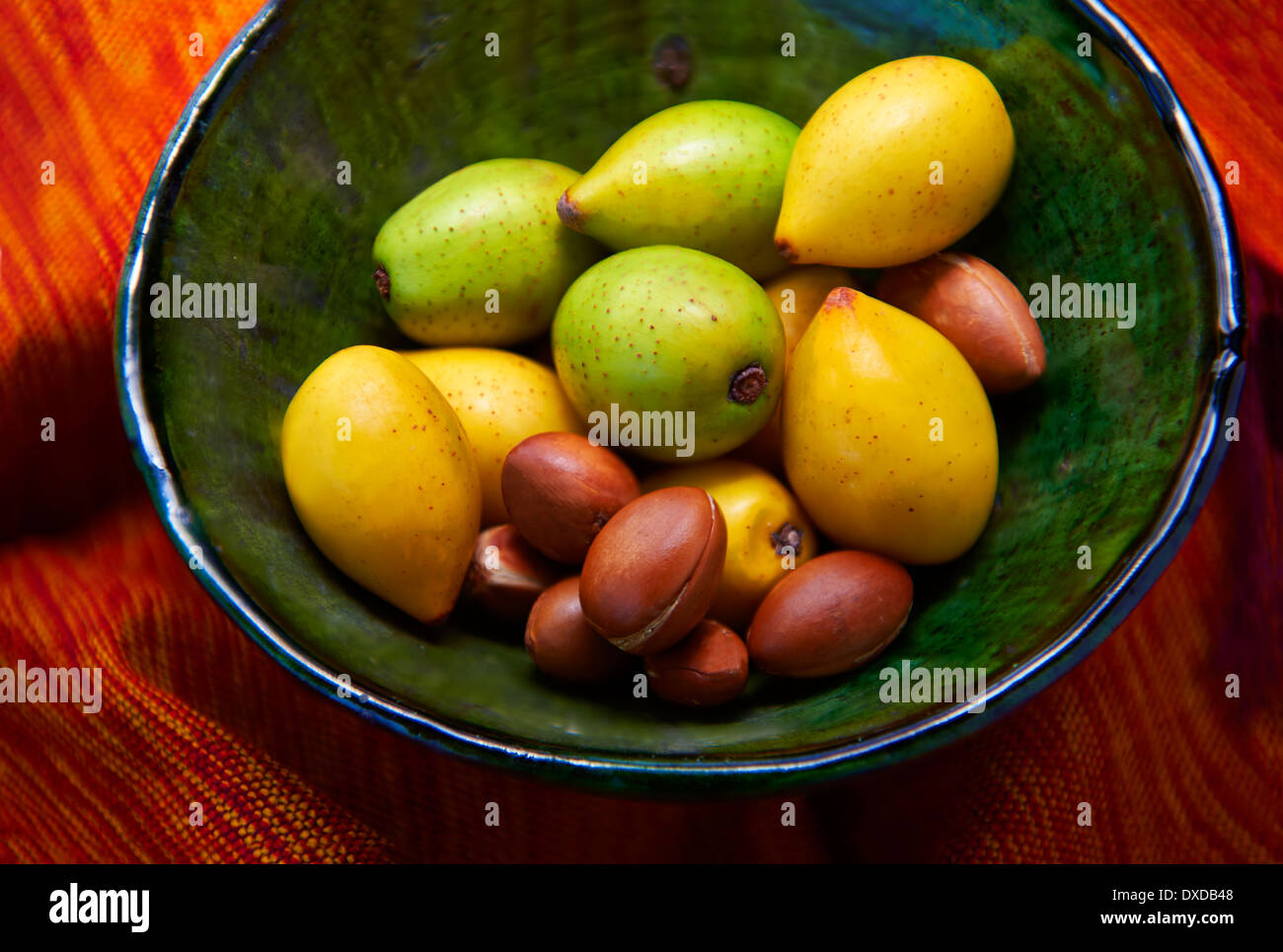 Fresh Argan nuts with outer skins and Argan nuts in their shells Stock ...