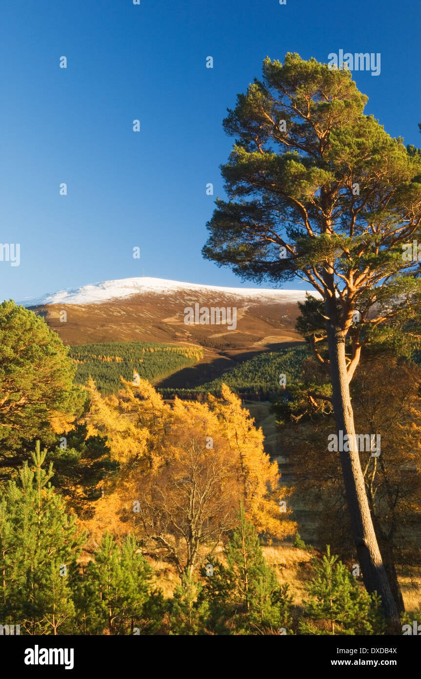 Woodland lodge hi-res stock photography and images - Alamy