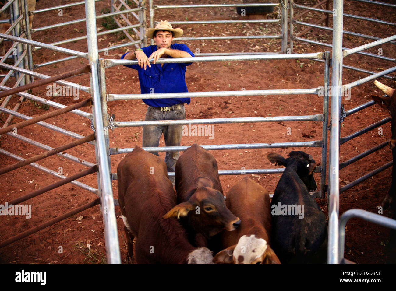 Outback Rodeo, Broome, Western Australia Stock Photo - Alamy