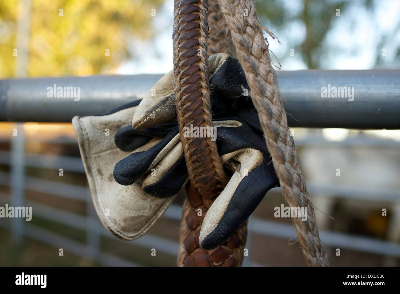 Outback Rodeo, Broome, Western Australia Stock Photo - Alamy