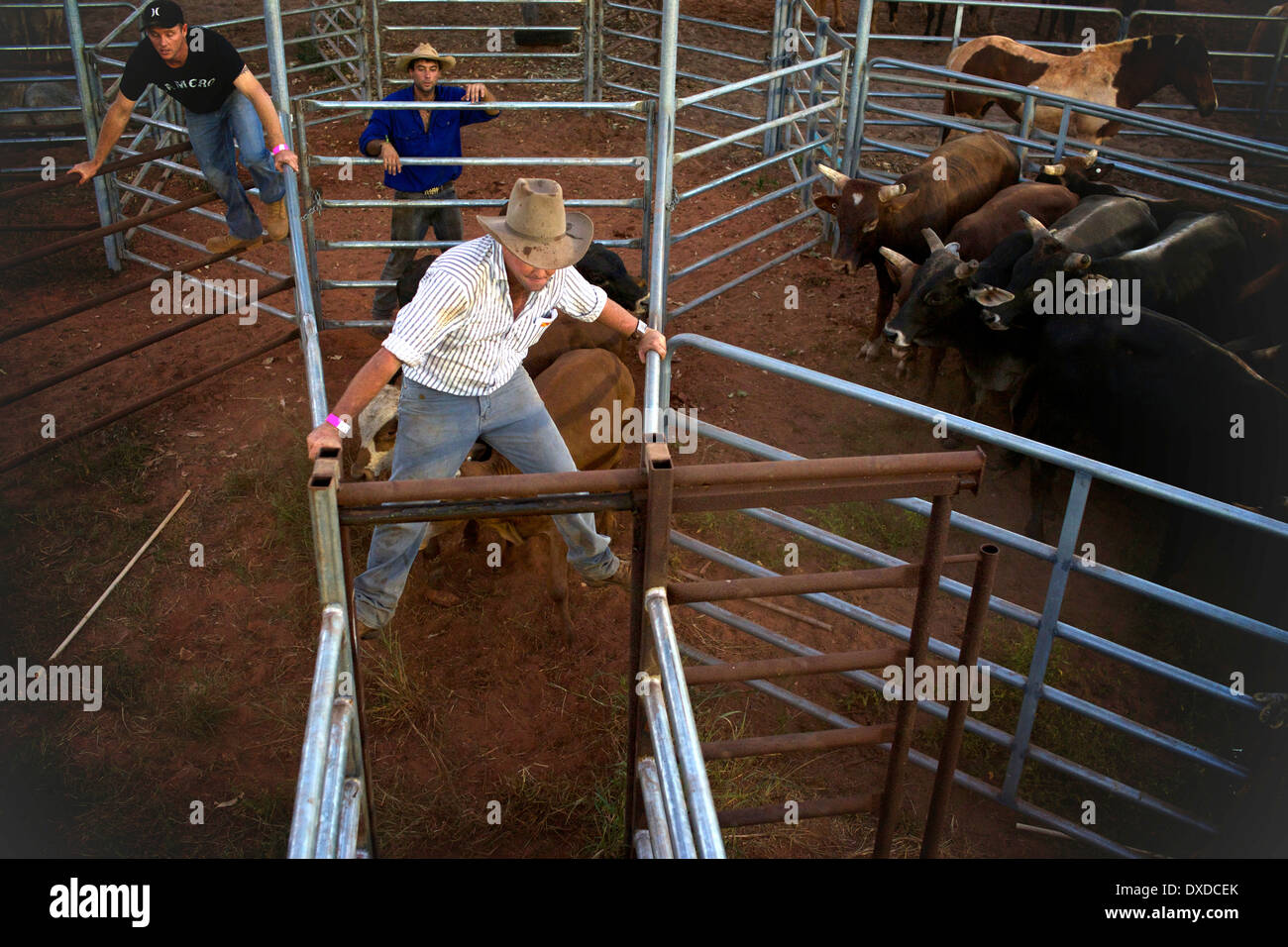 Cattle stations australia hi-res stock photography and images - Alamy
