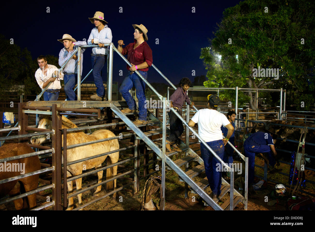 Jilleroo hi-res stock photography and images - Alamy