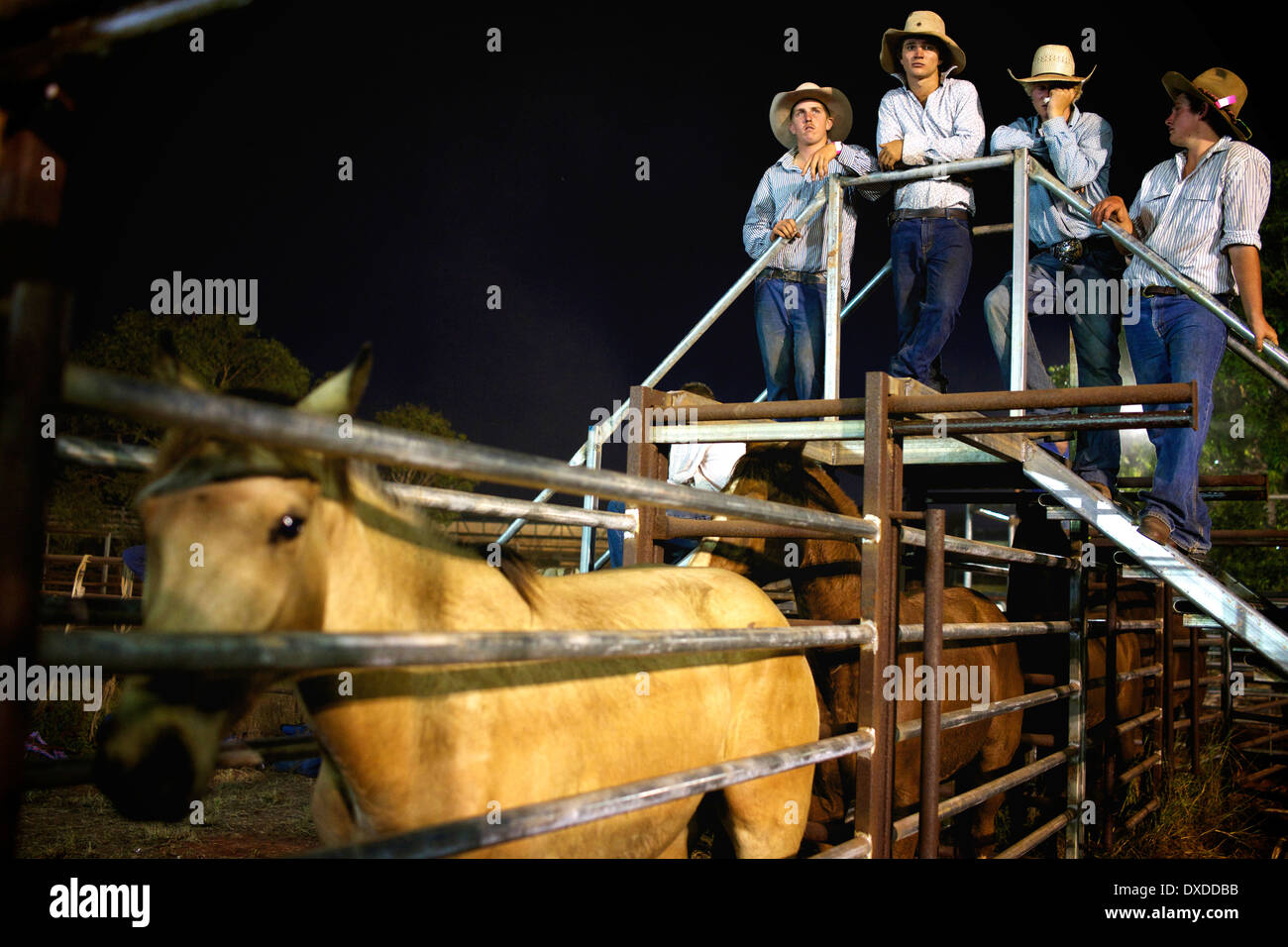 Outback Rodeo, Broome, Western Australia Stock Photo - Alamy
