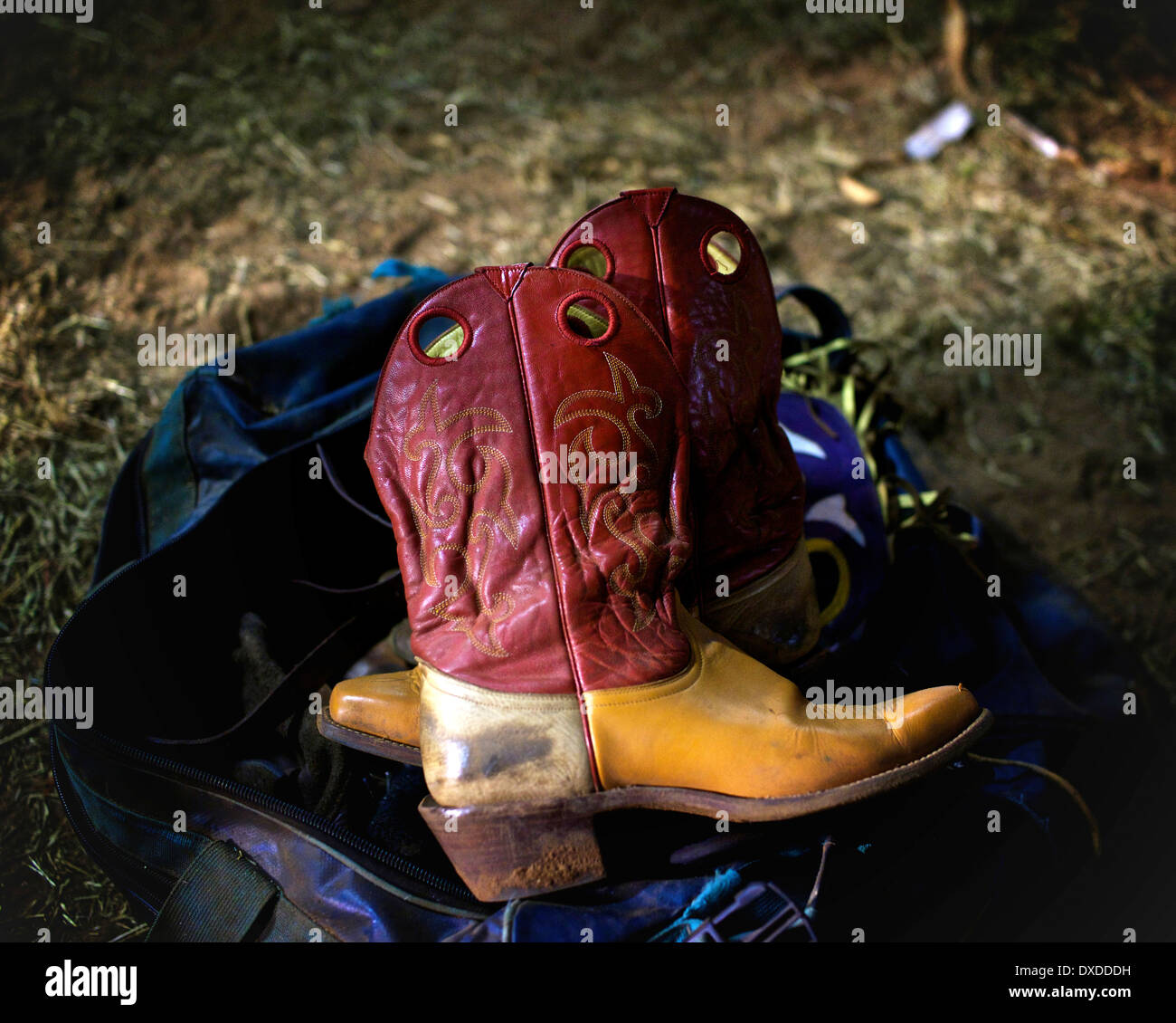 Outback cattle stations hi-res stock photography and images - Alamy
