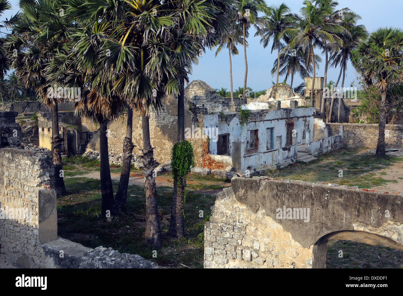 Mannar hi-res stock photography and images - Alamy