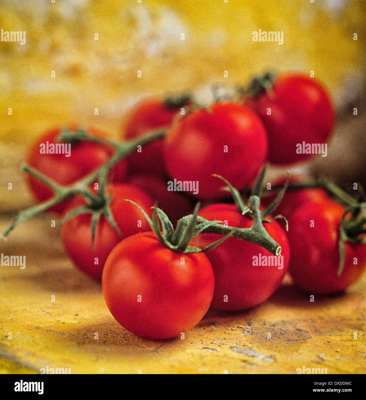 Italian vine tomatoes Stock Photo - Alamy