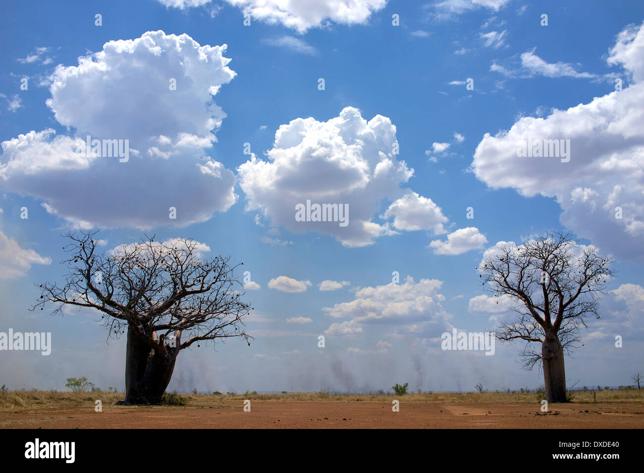 The Kimberley, Australian landscape Stock Photo - Alamy