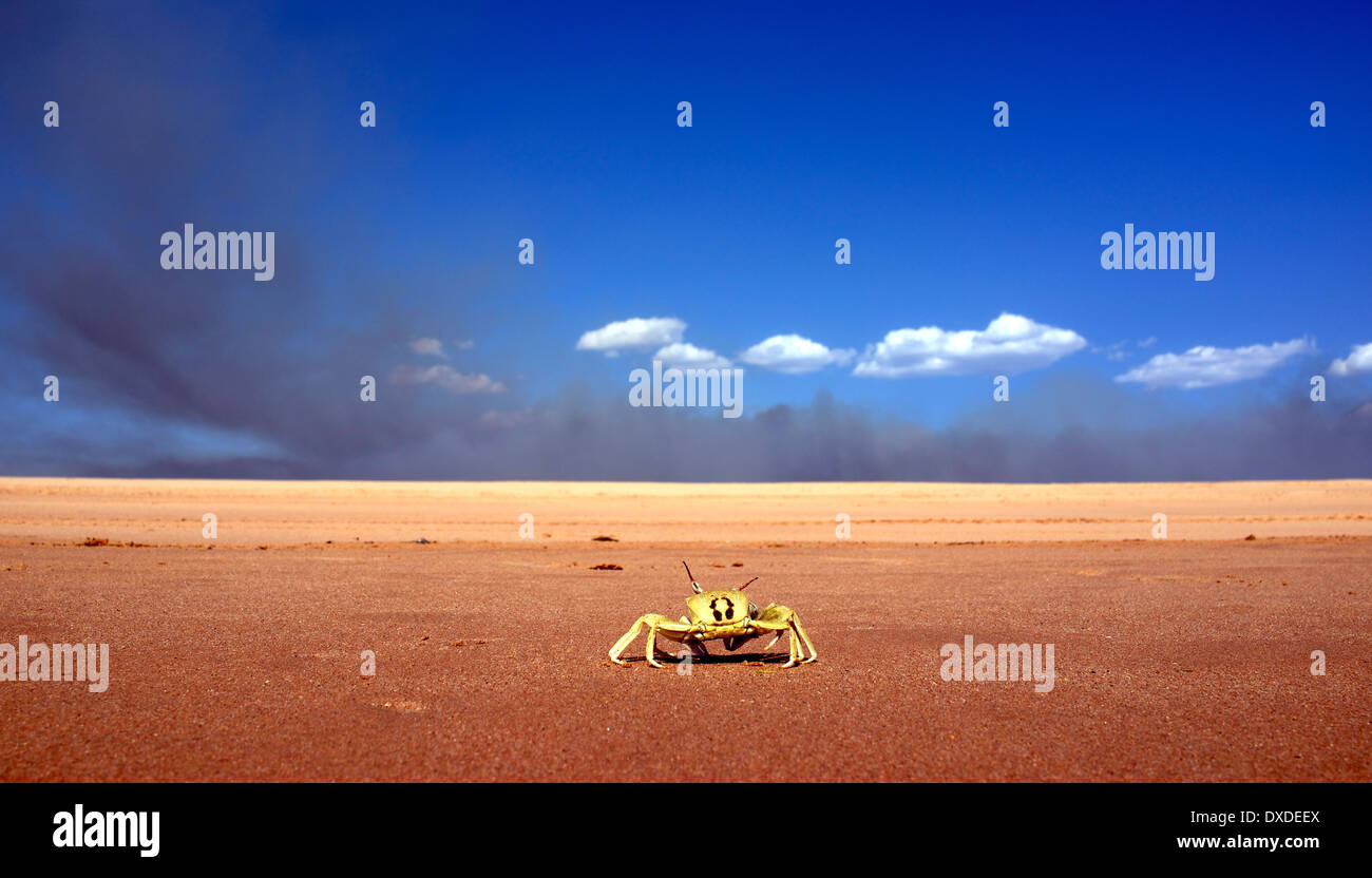 The Kimberley, Australian landscape Stock Photo - Alamy