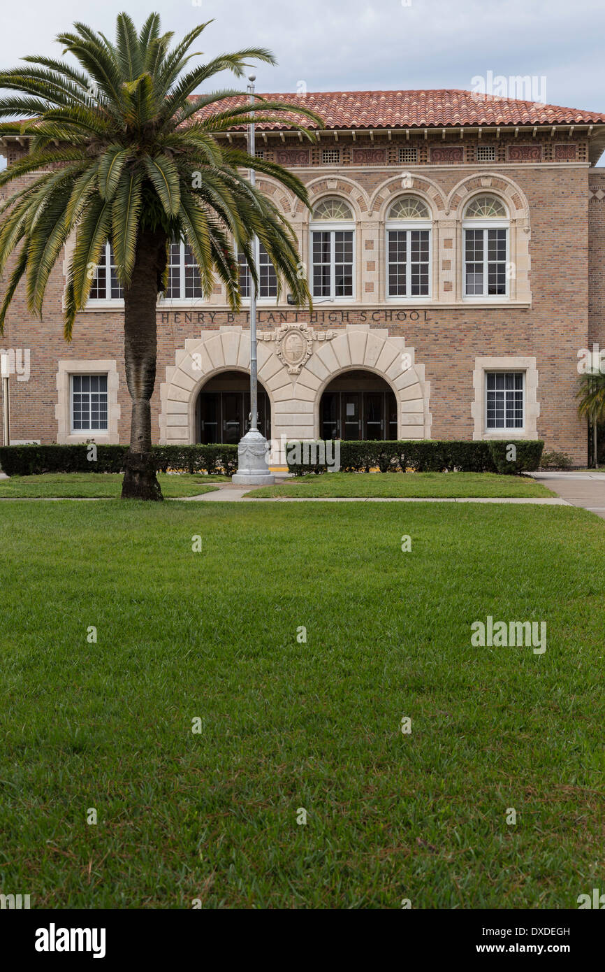 Plant Panthers Tampa