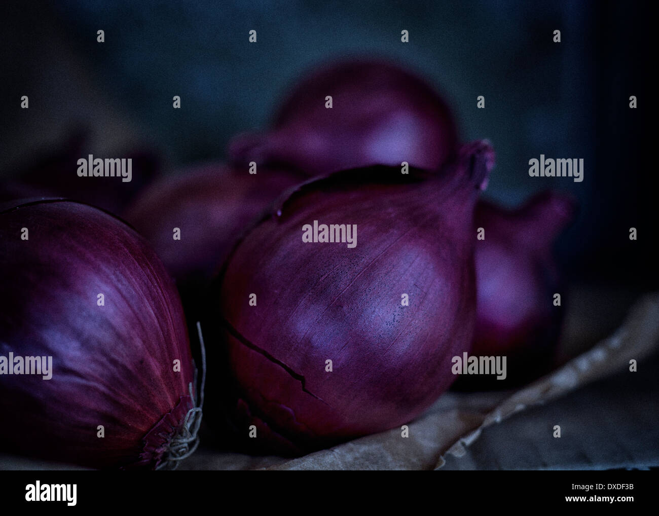Red onion study Stock Photo - Alamy