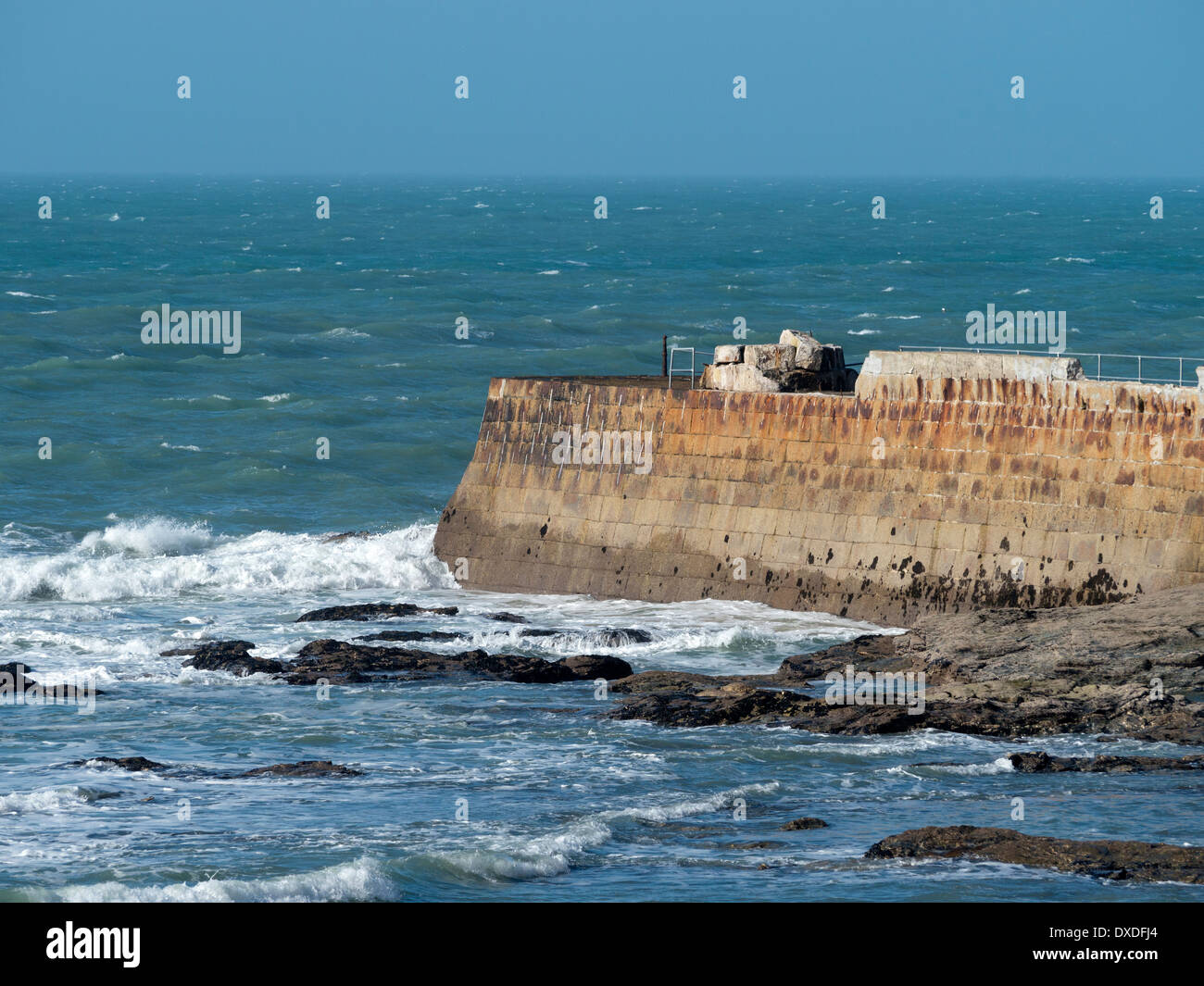 Monkey house hi-res stock photography and images - Alamy