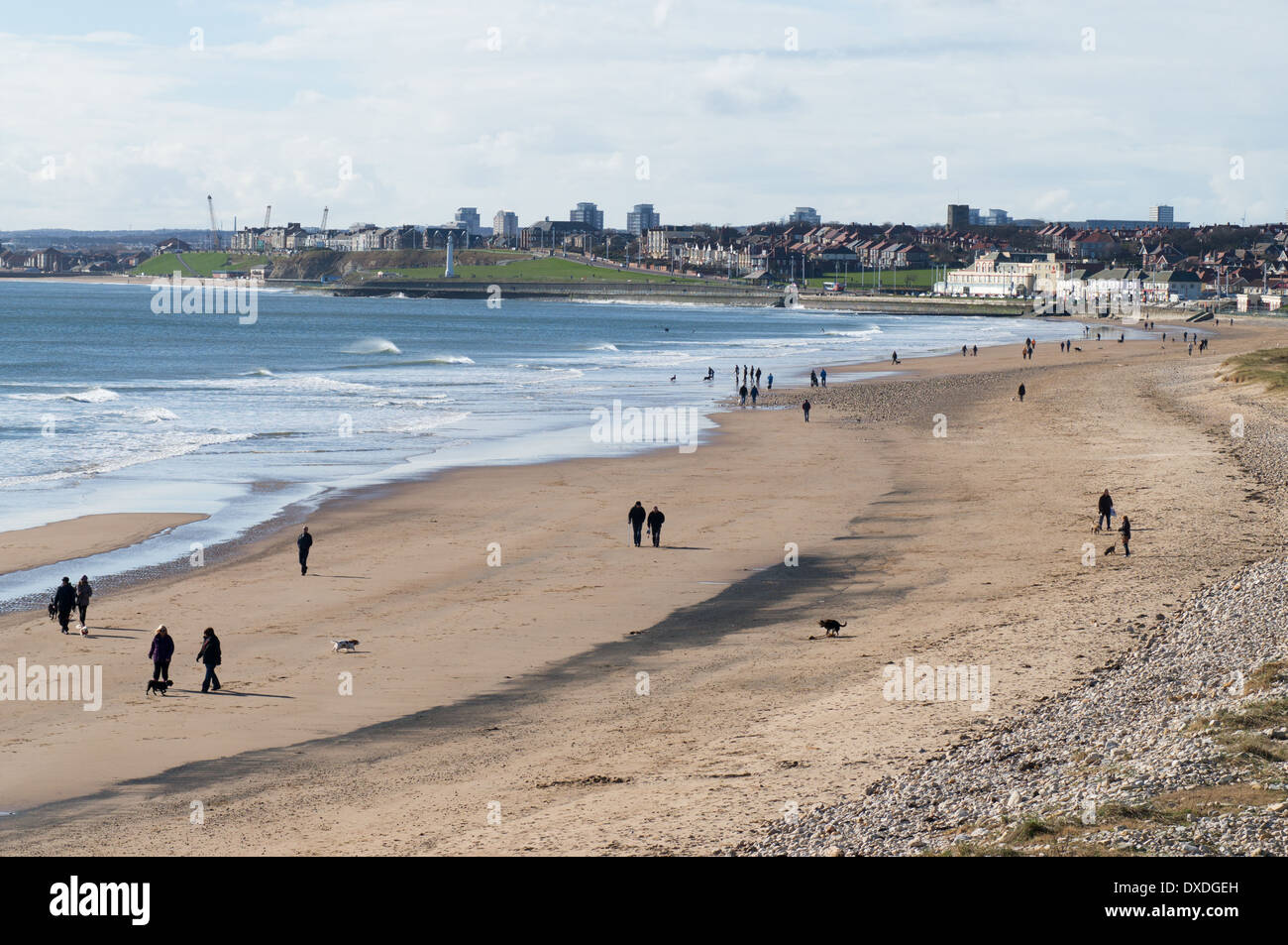 People walking dogs along the beach at Seaburn, Sunderland, north east ...