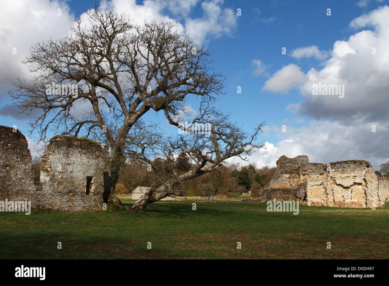 Waverley abbey hi-res stock photography and images - Alamy