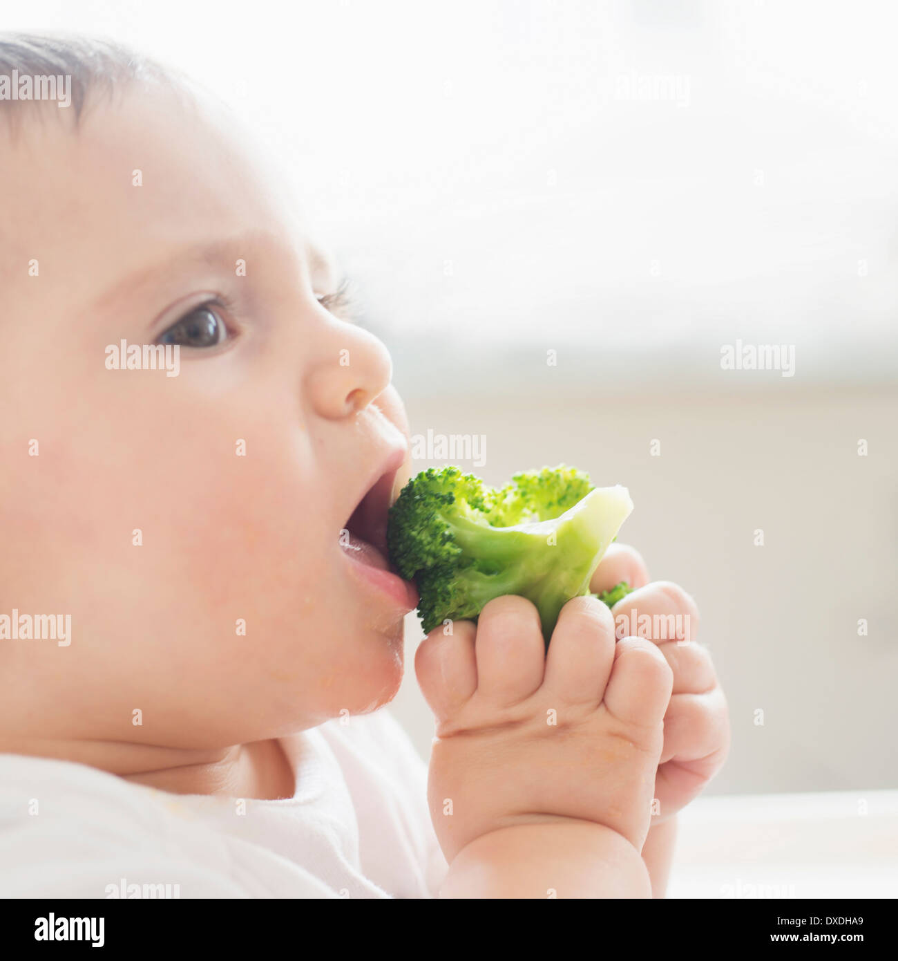 Close up broccoli only hi-res stock photography and images - Alamy