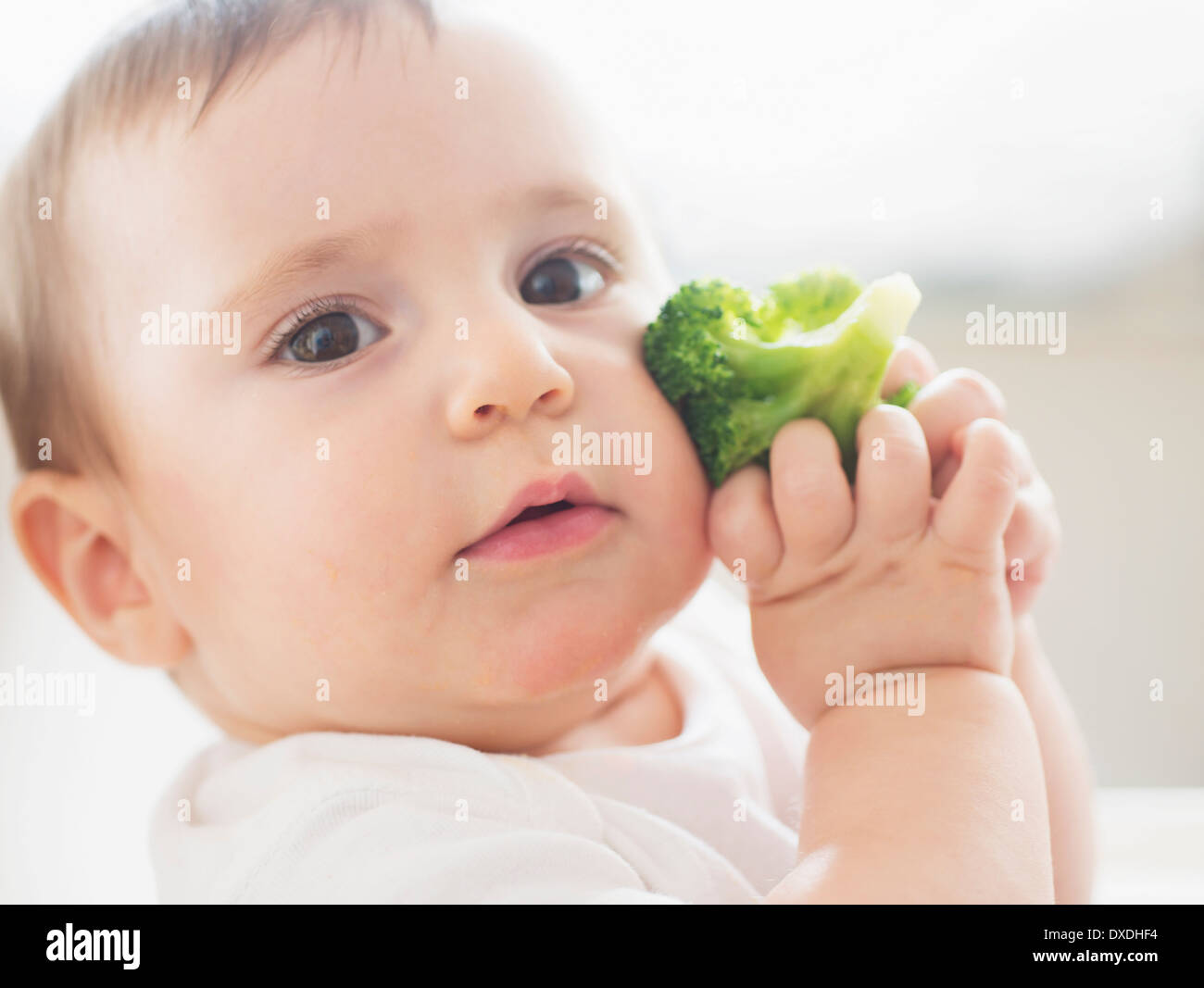 Broccoli baby hi-res stock photography and images - Alamy