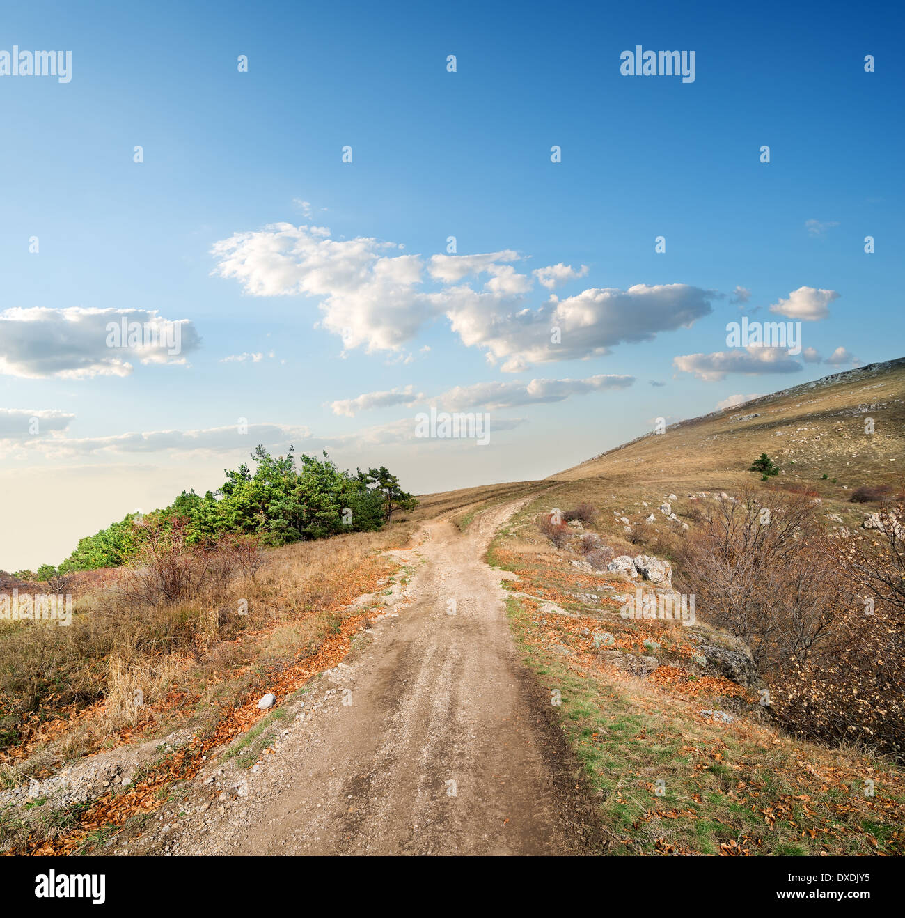 Dry grass road hi-res stock photography and images - Alamy