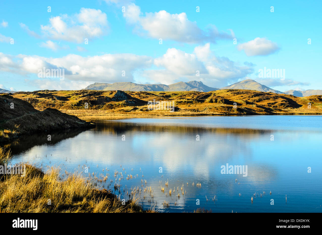 Tarn crag hi-res stock photography and images - Alamy