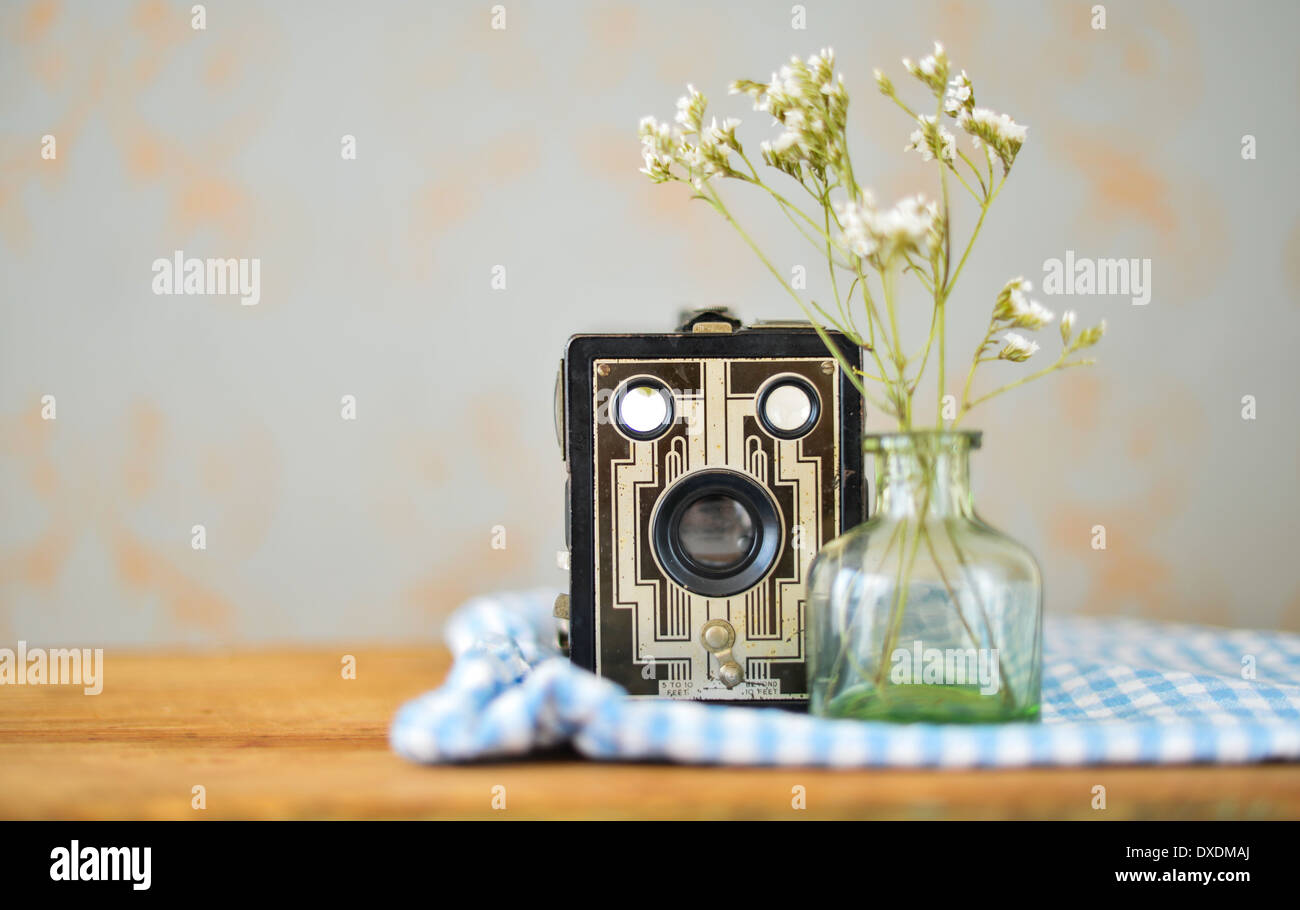 Studio shot of vintage camera and flowers Stock Photo - Alamy