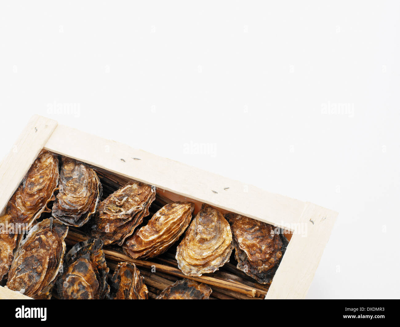 Starke box hi-res stock photography and images - Alamy