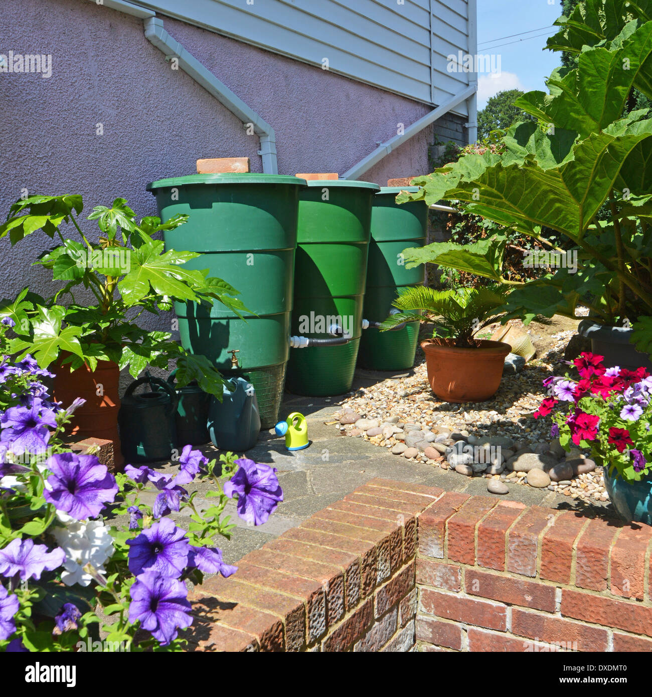 Water butt line of three inter connected joined together plastic garden ...