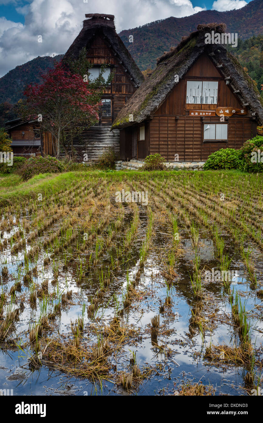 Traditional thatched roof houses from Shirakawa-go, Japan Stock Photo ...