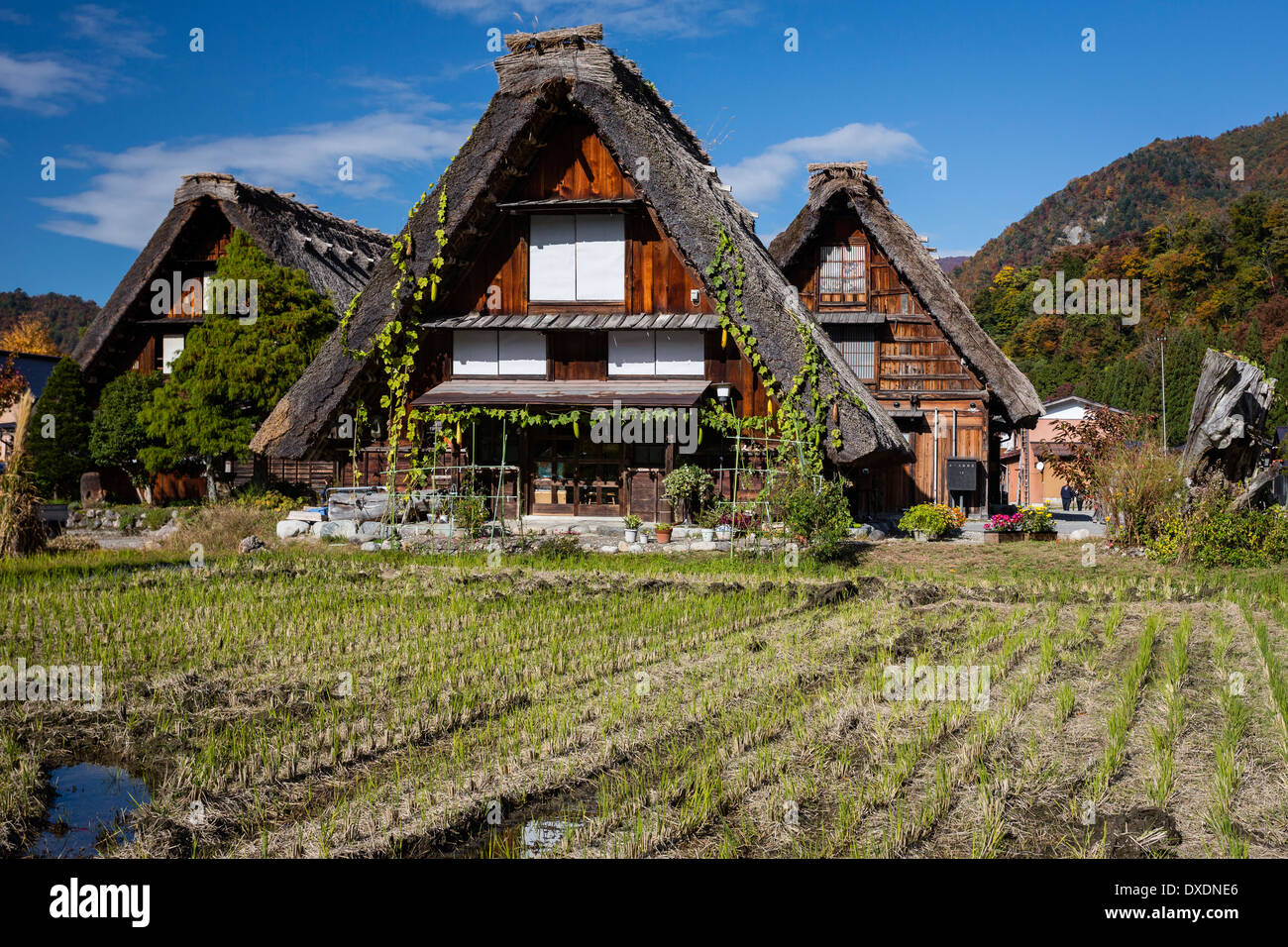 Traditional thatched roof houses from Shirakawa-go, Japan Stock Photo ...